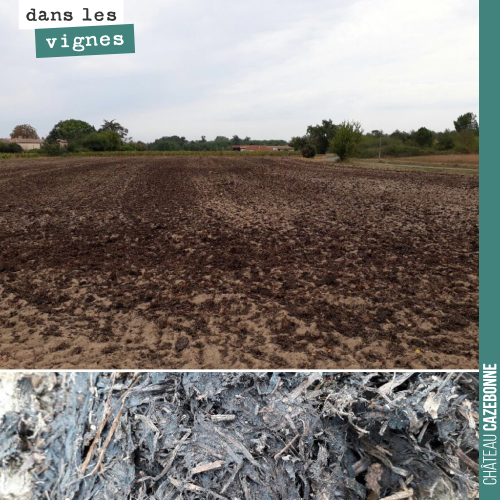 L'humus du sol - En direct d'un vignoble en bio